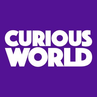 Curious World Limited | The FSE Group